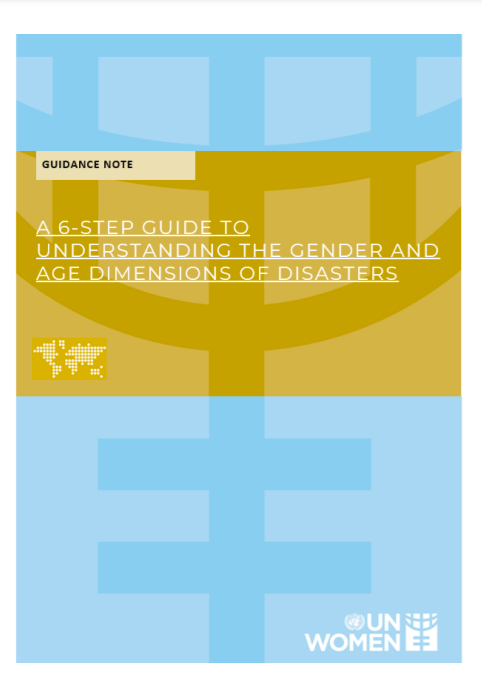 Six-step guide to gender and age inequality informed data: Missing ...