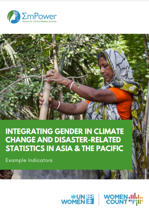 Integrating gender in climate change and disaster-related statistics in ...